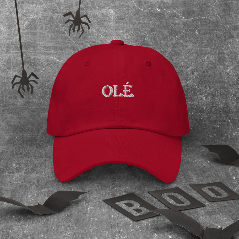 OLE HAT – SheSwitch